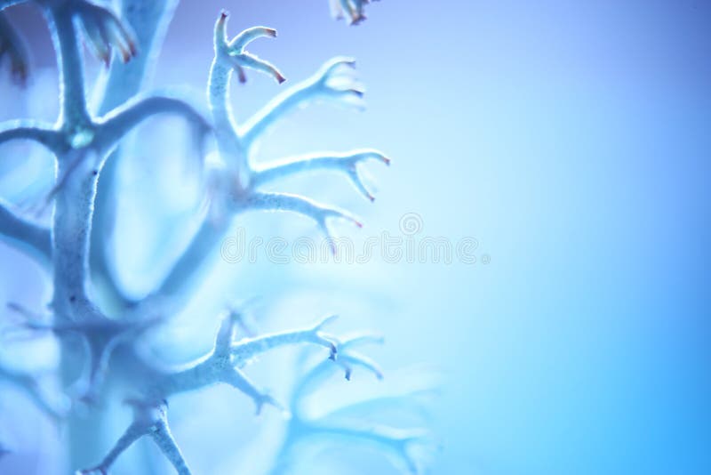 Mikro-organism svamp form arkivfoto. Bild av abstrakt - 50333442