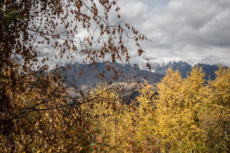 Svanetia autumn stock photo. Image of season, svaneti - 76786844