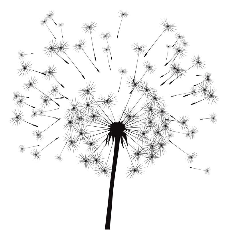 Svart maskros stock illustrationer. Illustration av maskrosor - 52399478