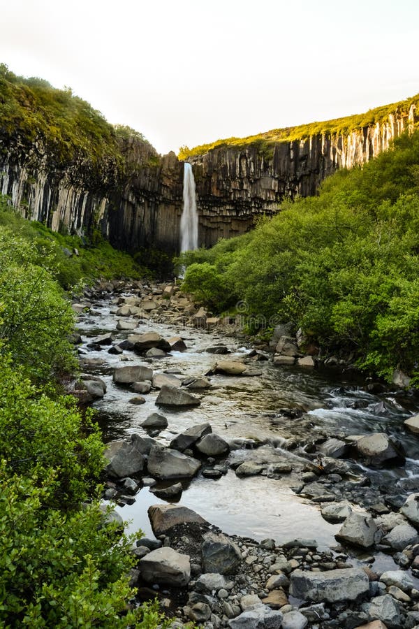 Svartifoss Waterfall from Above, with Basalt Columns, Iceland in Stock ...