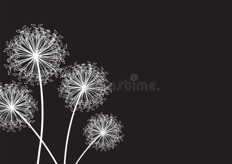 Svartvita Exponeringsglasramar Vektor Illustrationer - Illustration av ...