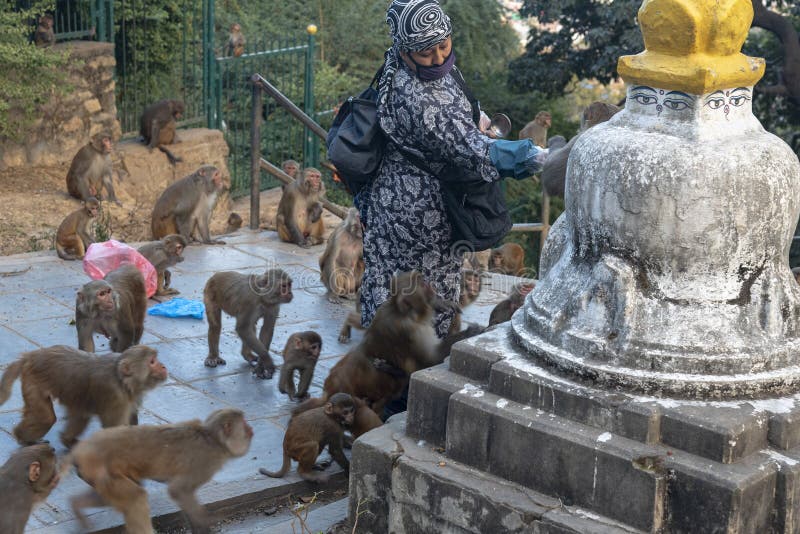 Svayambunath Monkey Temple Nepal. Kathmandu Editorial Photography ...