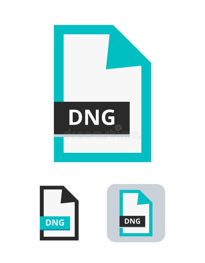 Dng File Flat Vector Icon. Standardized Professional Photo Raw Format ...
