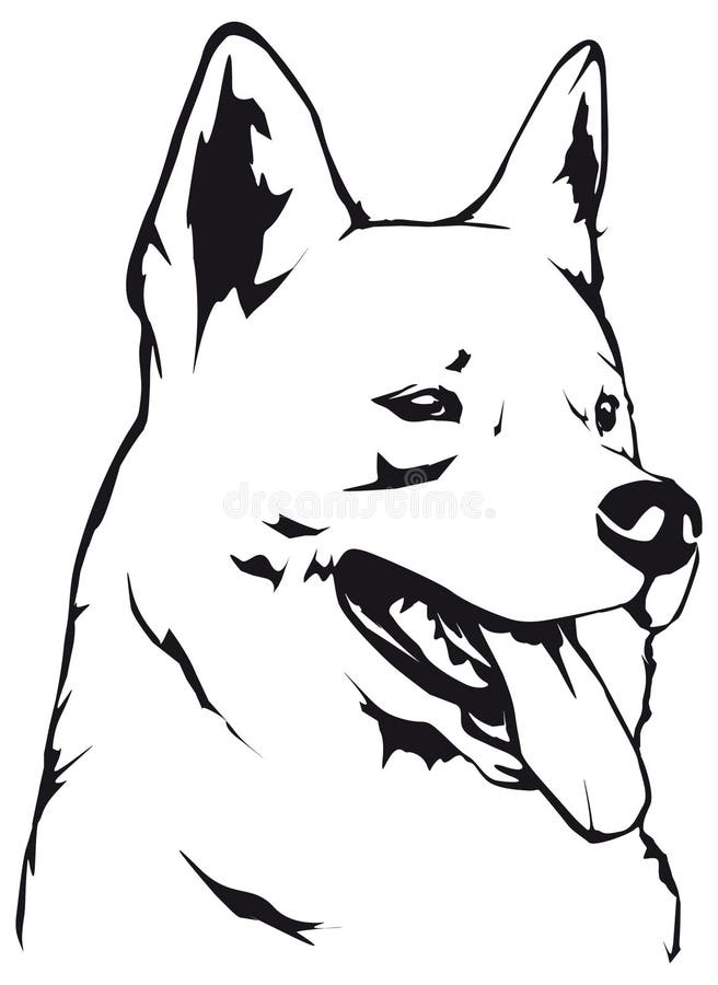 Swiss Shepherd Stock Illustrations – 267 Swiss Shepherd Stock ...