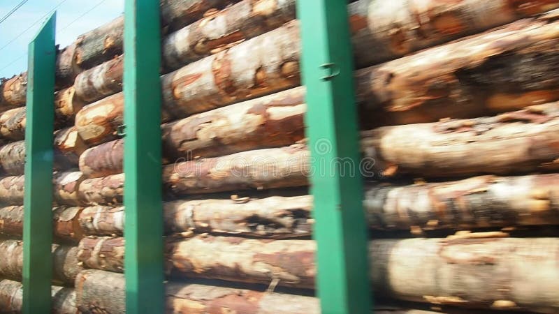 Svir, Russia, August 6, 2021 Cargo Timber Train. Open Train Carriage ...