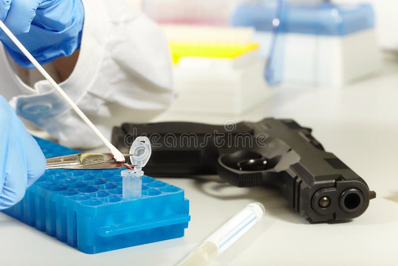 Swabbing Sample of DNA from Handgun Stock Photo - Image of ...