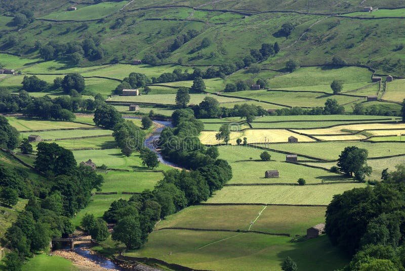 Swaledale. Yorkshire. Inghilterra Fotografia Stock - Immagine di ...
