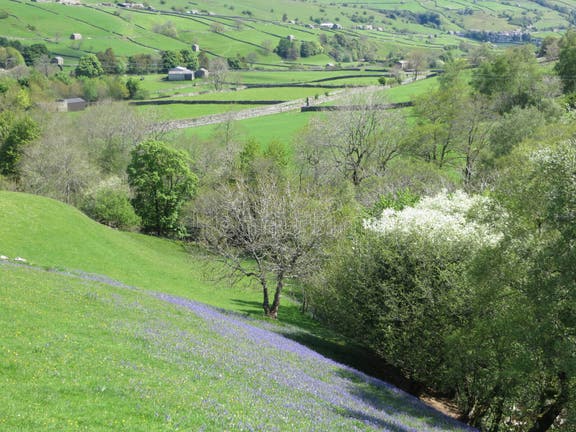 Swaledale Yorkshire stock image. Image of yorkshire, trees - 83744253