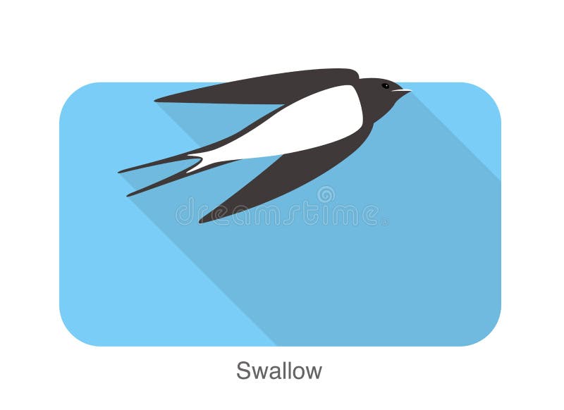 Swallow Flat Icon Design, Cartoon, Vector Illustration Stock Vector ...