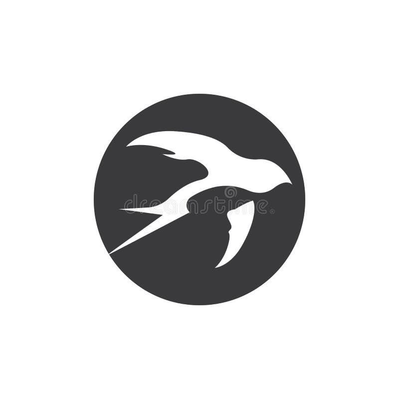 Swallow Logo Icon Design Vector Image Stock Illustration - Illustration ...