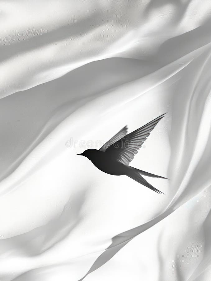 Swallow Shadow Silhouette on Flowing Fabric Symbolizing Freedom and ...