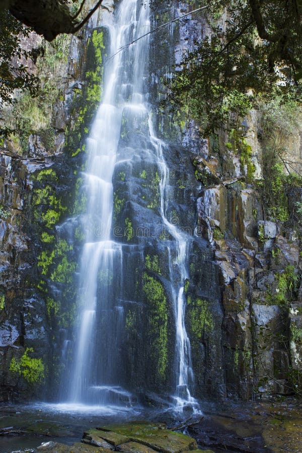 Swallowtail Falls in Hogsback, South Africa Stock Photo - Image of ...