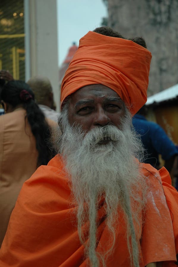 The swami editorial photo. Image of active, alert, butterfly - 84169021