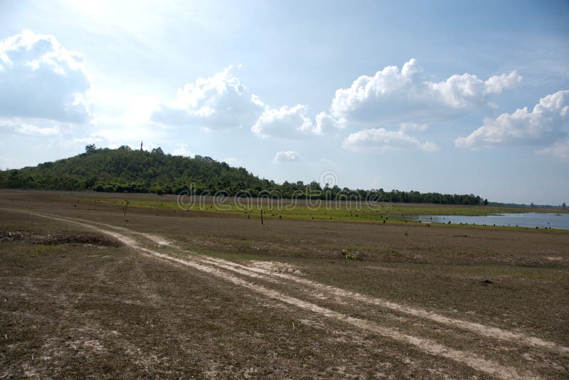 Swamp stock image. Image of beautiful, background, nature - 41672165