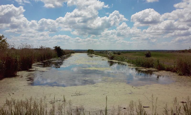 Swamp stock photo. Image of clouds, beautiful, swamp - 94793700