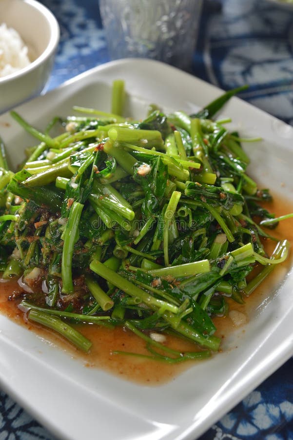 Swamp Cabbage, Swamp Cabbage White Stem, Water Morning Glory (Ipomoea ...