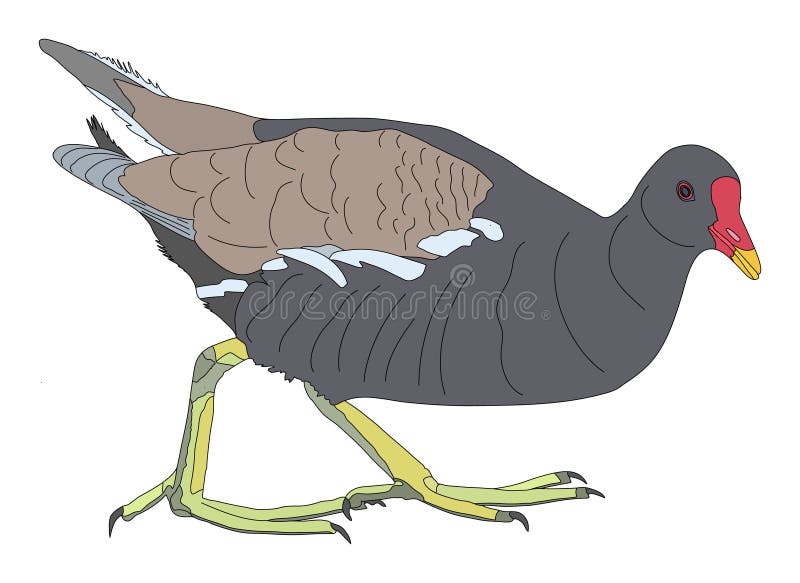 Swamp Beast Stock Illustrations – 227 Swamp Beast Stock Illustrations ...