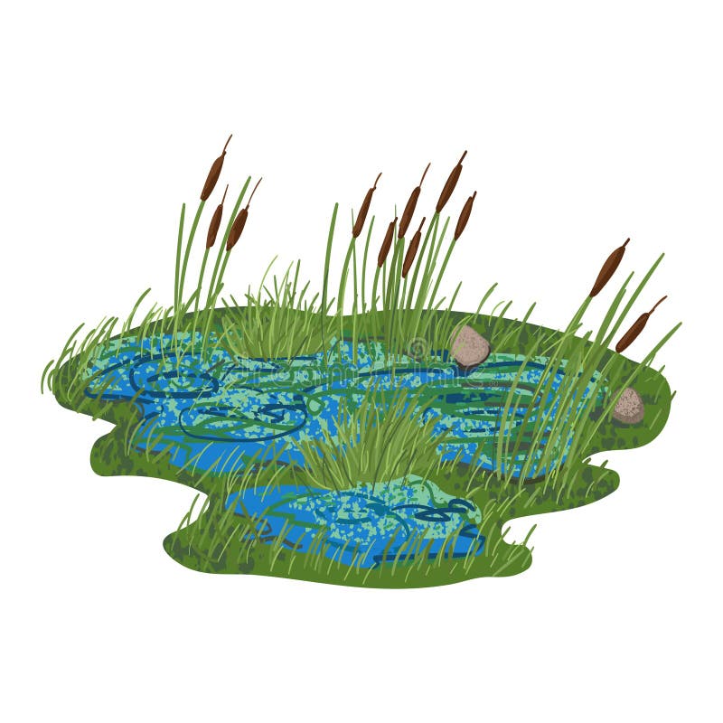 Swamp Colorful Illustration Stock Vector - Illustration of quagmire ...