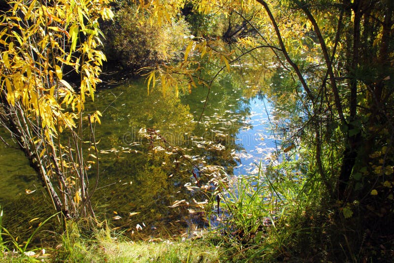 The Swamp in the Fall. the View from the Top. the Water Reflects the ...
