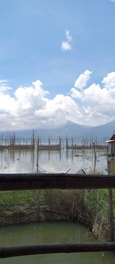 Swamp Full of Water and Natural Scenery Stock Image - Image of harbor ...