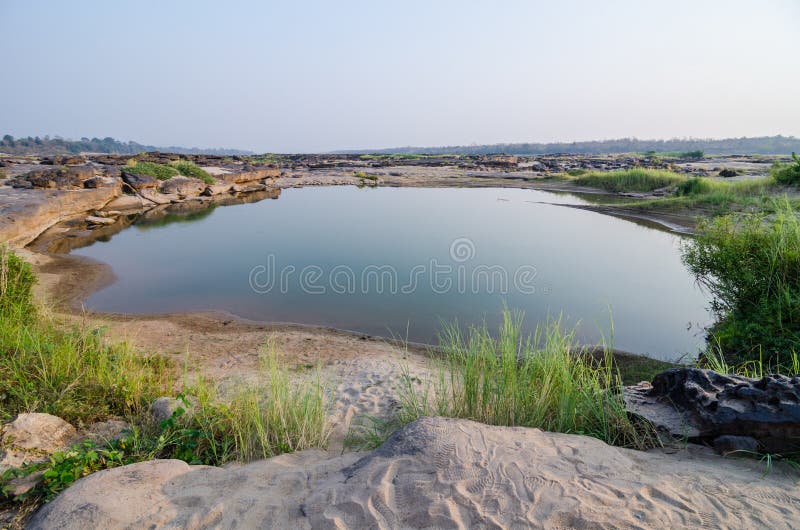 Swamp with Grass and Reflecting from Surface Water Stock Photo - Image ...