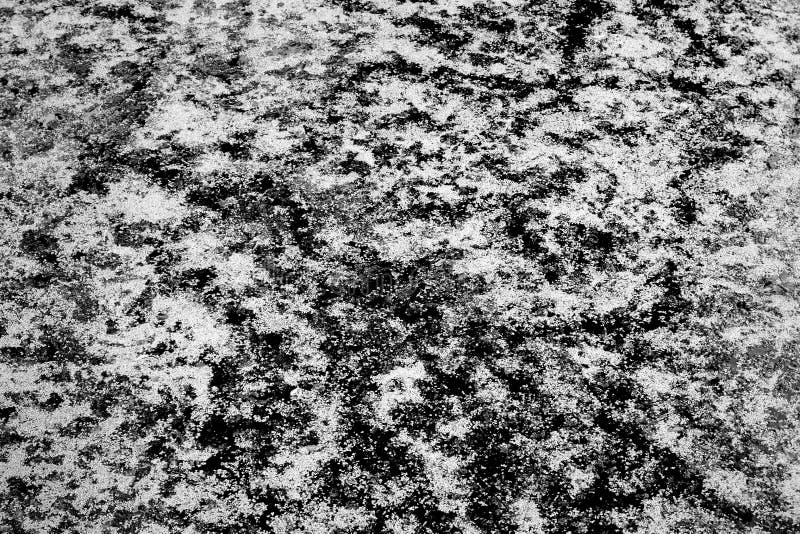 Swamp Green Pattern and View in Black and White Stock Image - Image of ...