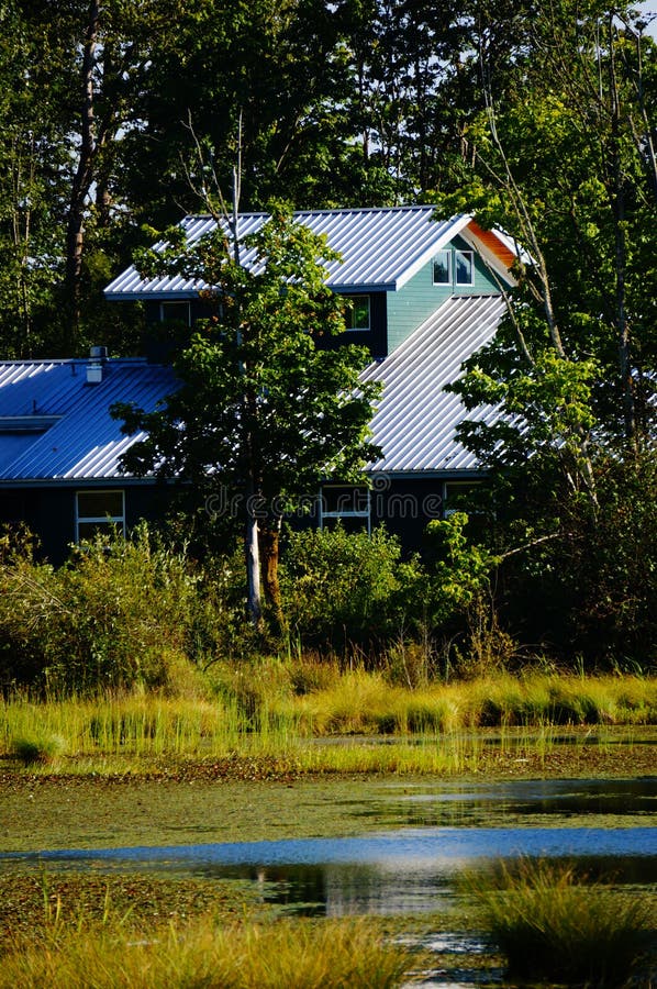 Swamp house stock photo. Image of surrounded, barn, fields - 43396496