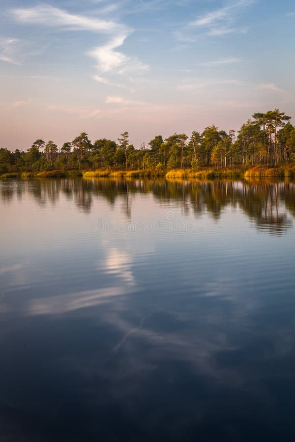 Swamp lake stock photo. Image of blue, autumn, horizontal - 65403236