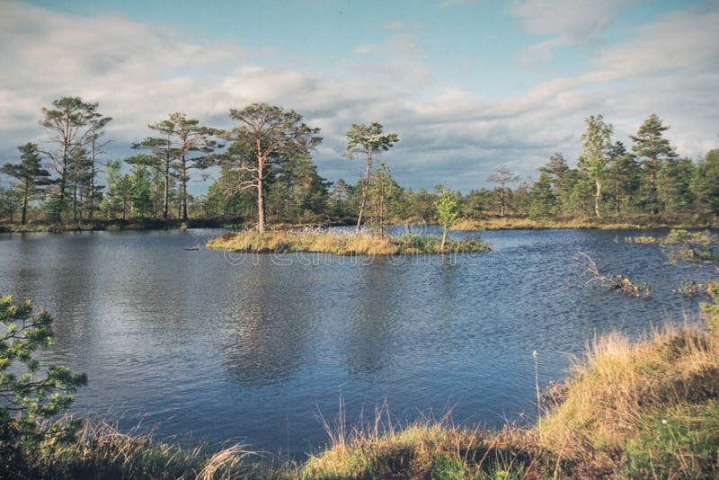 .a Swamp Lake with a Small Island and Trees on Its Shores Stock Photo ...