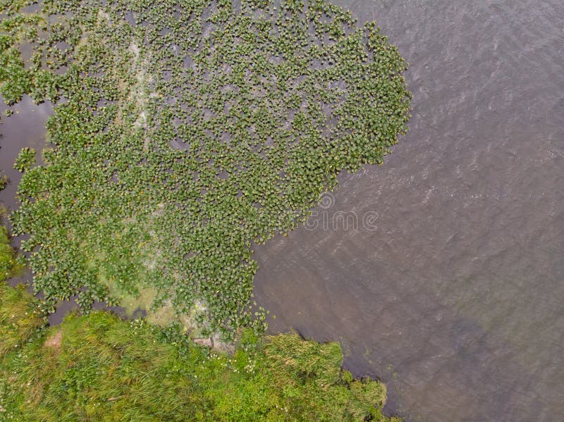 479 Field Waterways Stock Photos - Free & Royalty-Free Stock Photos ...