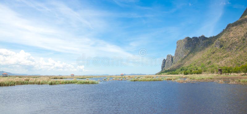 Swamp land stock image. Image of hill, marsh, landscape - 21188811