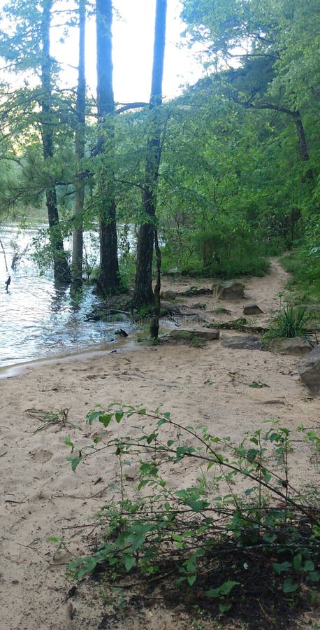 Swamp land stock image. Image of hill, marsh, landscape - 21188811
