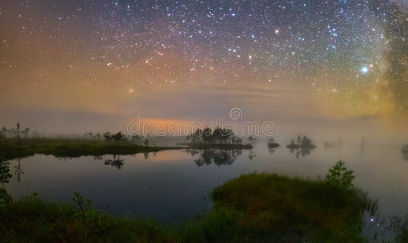 Swamp in the night stock photo. Image of nightscape - 131862692