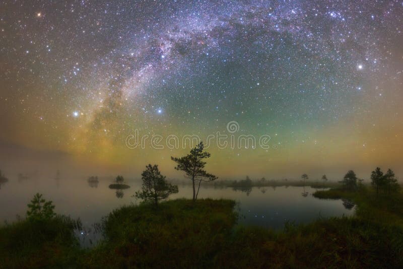 Swamp in the night stock image. Image of landscape, yelnya - 131862697