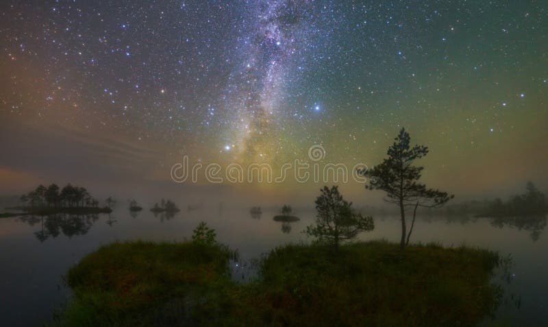 Swamp in the night stock image. Image of wetland, nature - 131862703