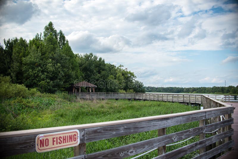 Swamp Park and Fence Bridge Stock Image - Image of grass, explore: 89195687