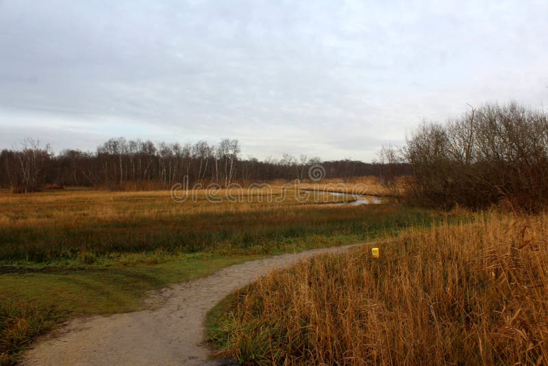 Swamp path in autumn stock image. Image of lake, cloud - 83046259