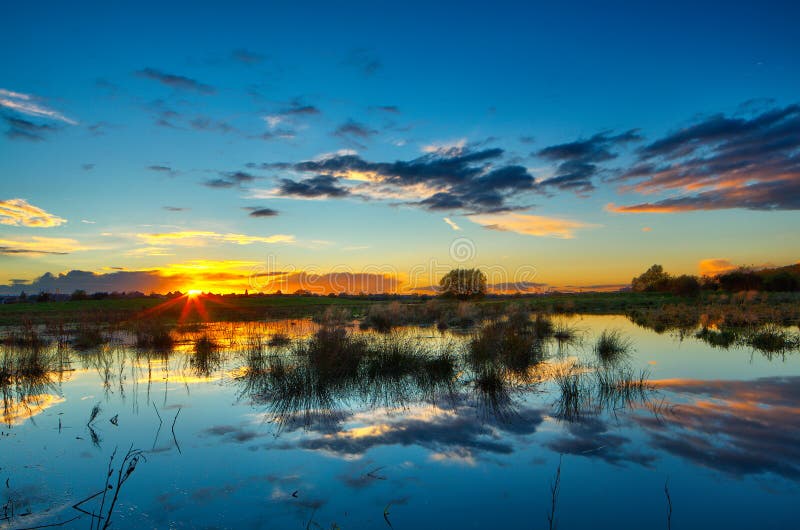Swamp scenics stock photo. Image of darkness, black, dark - 27163052