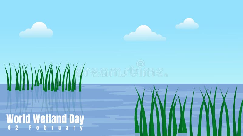 Swamp by the Sea Vector Illustration Stock Vector - Illustration of ...