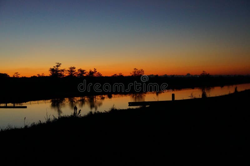 Swamp Sunrise in Florida stock photo. Image of biome - 165241094