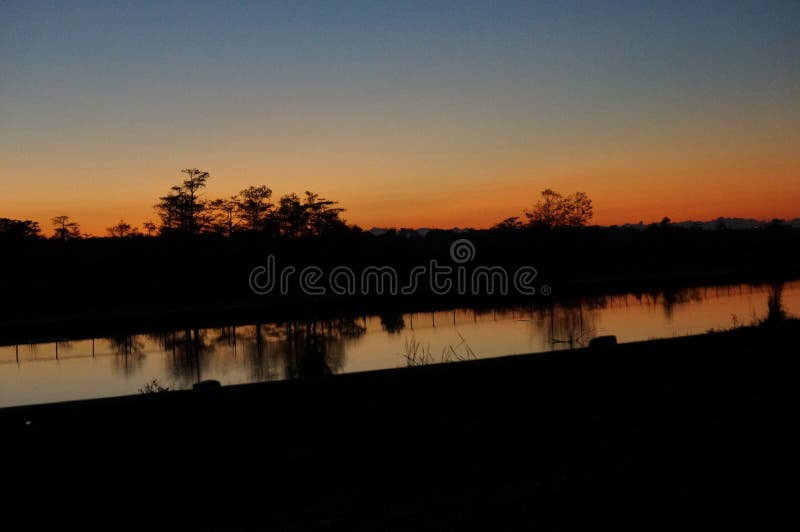 Swamp Sunrise in Florida stock image. Image of conservation - 165241151