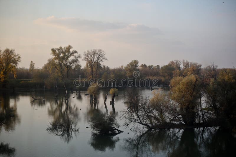 Swamp at sunset stock photo. Image of forest, view, light - 47518390
