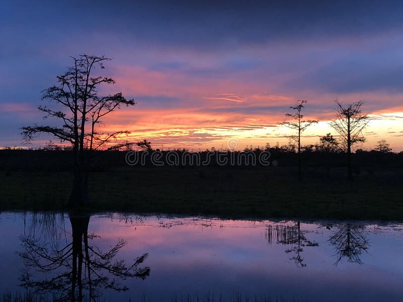 Swamp Sunsets in the Louisiana Marsh Stock Image - Image of natural ...