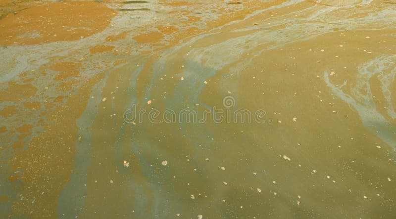 Swamp texture stock photo. Image of grunge, lake, nature - 80371300