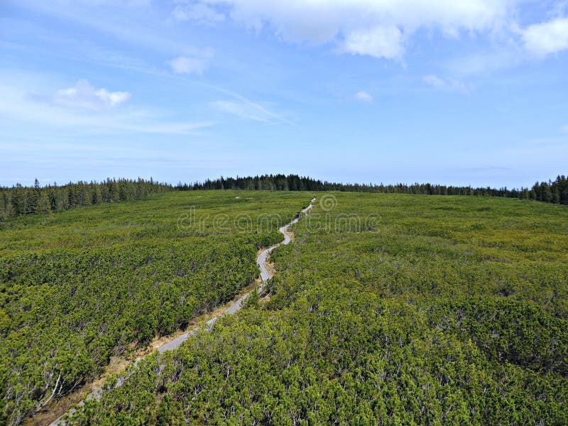 Swamp on the Top of the Hill Stock Photo - Image of nature, aerial ...