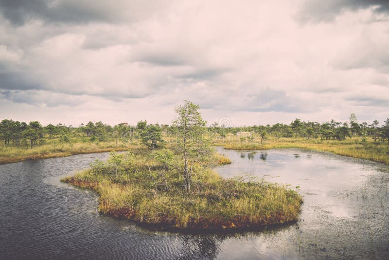 Swamp View with Lakes and Footpath Stock Photo - Image of perspective ...