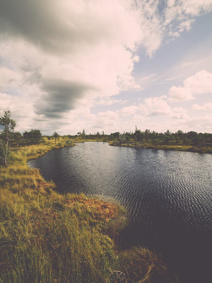 Swamp View with Lakes and Footpath Stock Photo - Image of outdoor ...
