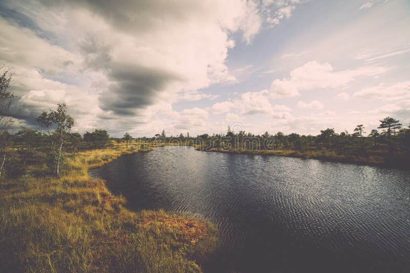 Swamp View with Lakes and Footpath Stock Image - Image of morass ...