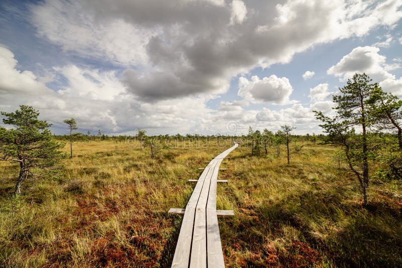 Swamp View Wtih Lakes and Footpath Stock Photo - Image of footpath ...