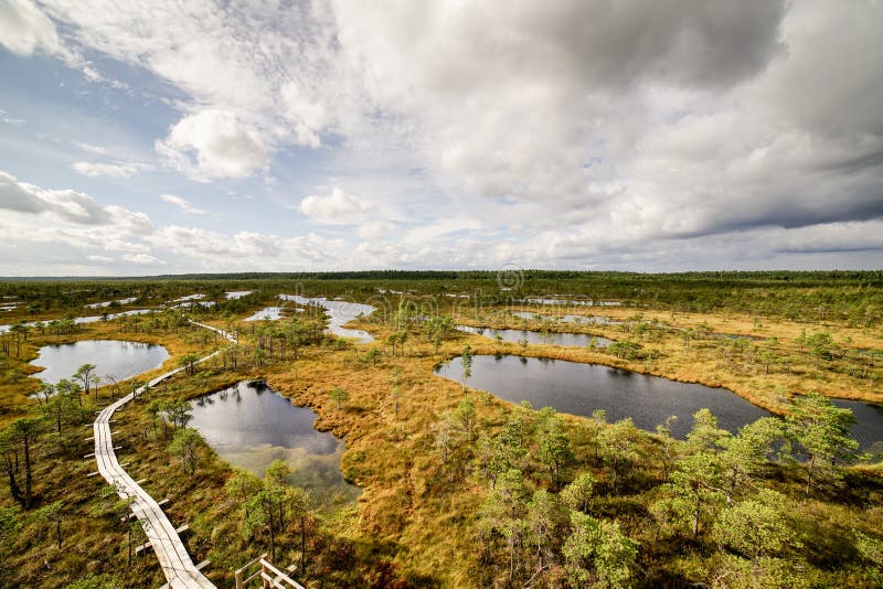 Swamp View Wtih Lakes and Footpath Stock Photo - Image of planked ...